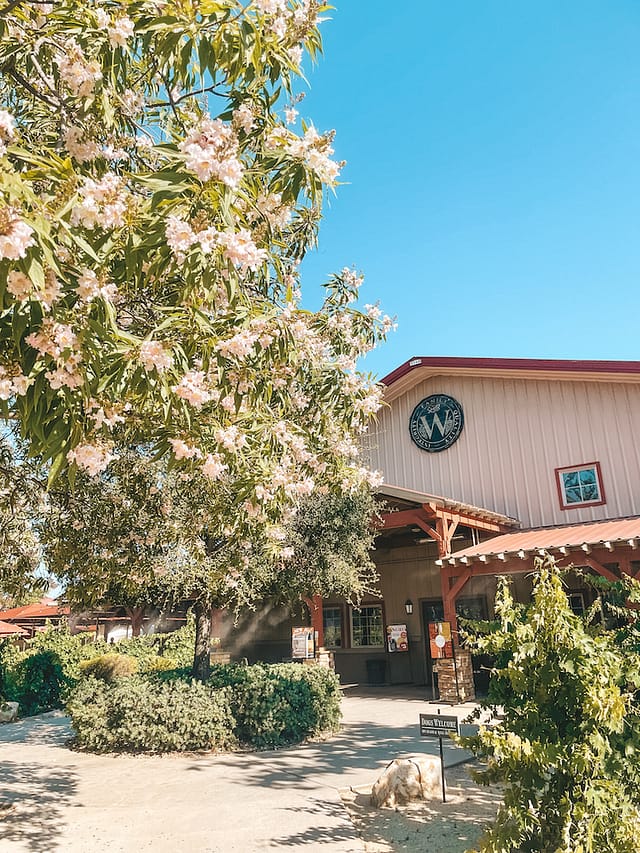 11 Best Wineries in Temecula (+ Wine Tours & Tips!)