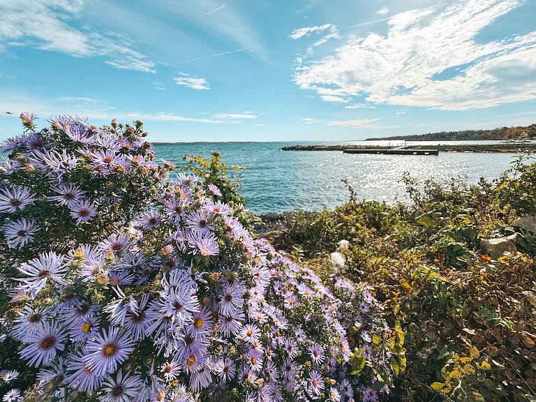 Where to Stay in the Finger Lakes (The Best Towns & Hotels!)