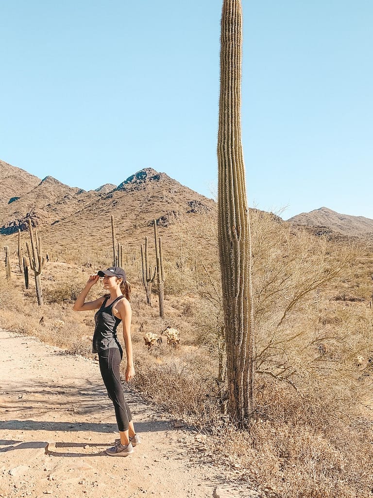 10 Best Hikes in Phoenix | Travel by Brit